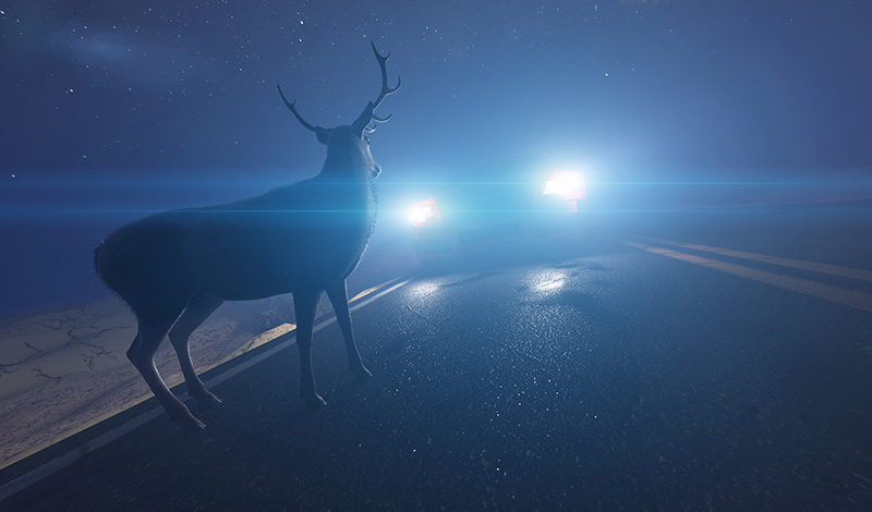 7 Night Driving Tips for Your HOA Community - Hoa Management .com